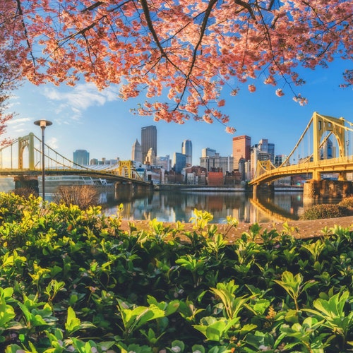 Spring in Pittsburgh Framing the Skyline Various Prints - Etsy