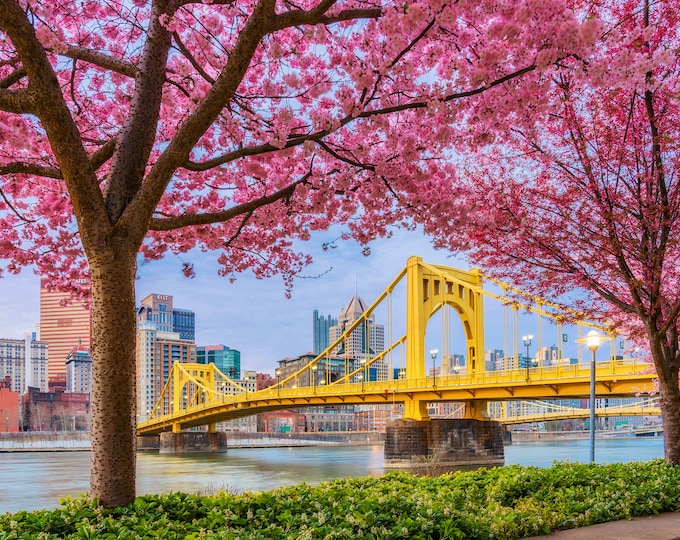 Pittsburgh Skyline - DaveDiCello