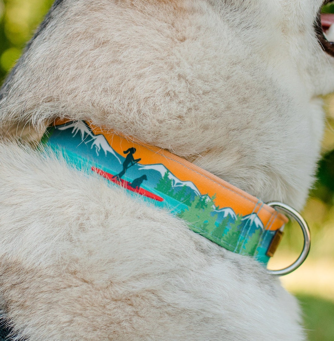 Paddle Board Adventure Dog Collar | Handmade Adjustable Heavy Duty ...