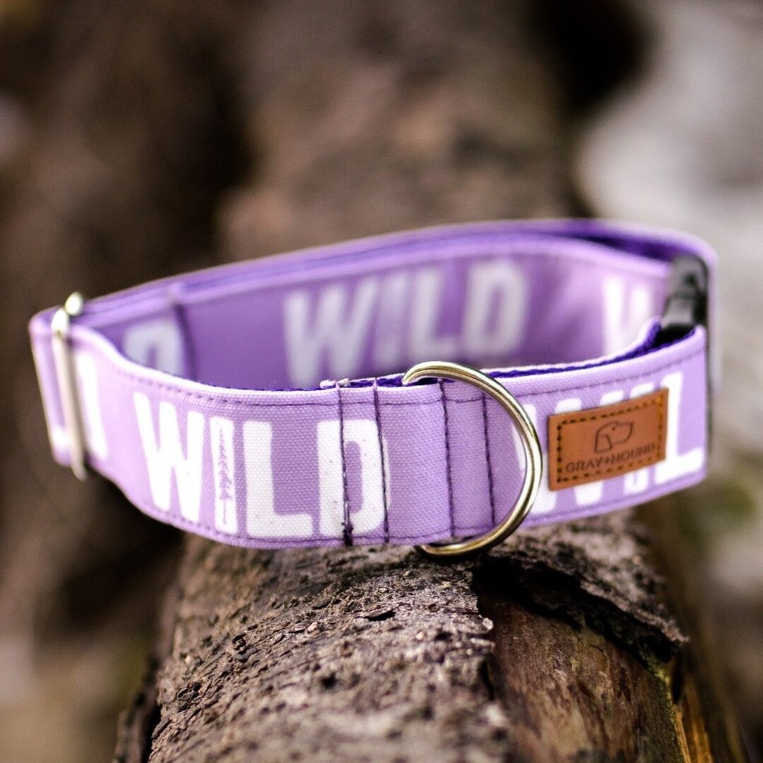 Purple Wild Dog Collar Handmade Pet Collar Dog Collar Made - Etsy