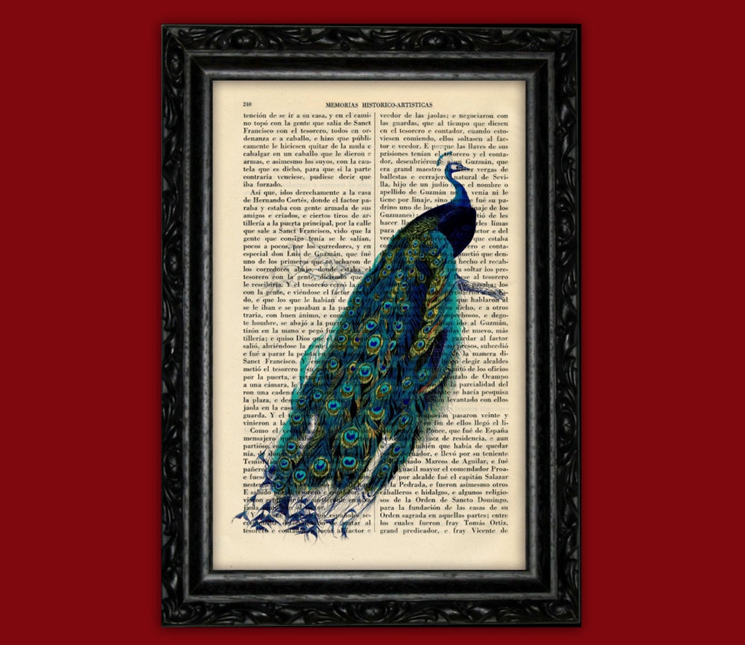 Peacock Book Art Print Bird Vintage Gift Poster Dorm Room Print Gift ...