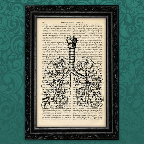 Respiratory System Poster - Etsy