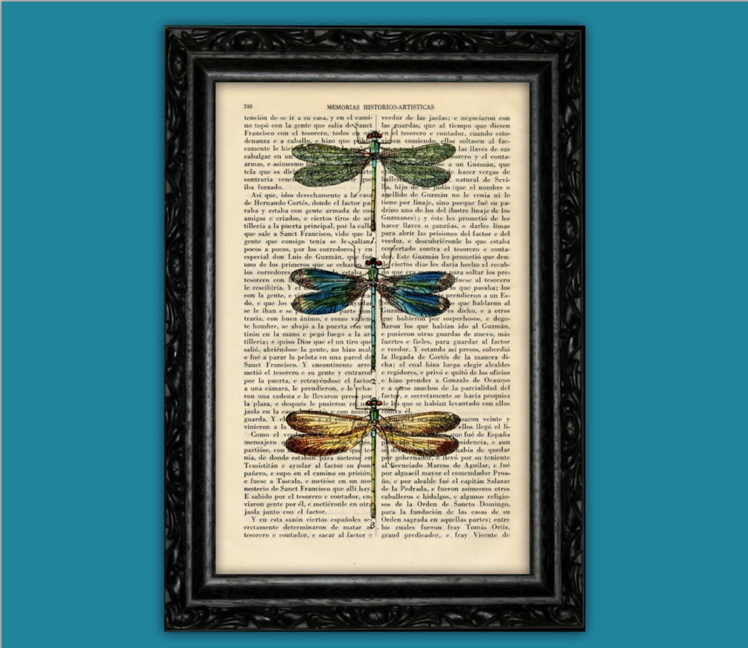 Dragonflies Vintage Colorful Art Print Insect Drangonfly Poster Dorm ...