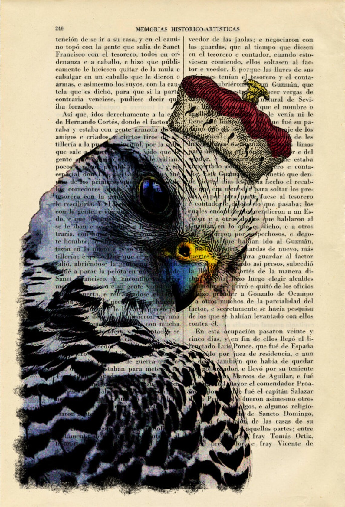 King Hawk Emperor Print Bird Poster Dorm Room Print Gift | Etsy