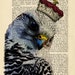King Hawk Emperor Print Bird Poster Dorm Room Print Gift - Etsy