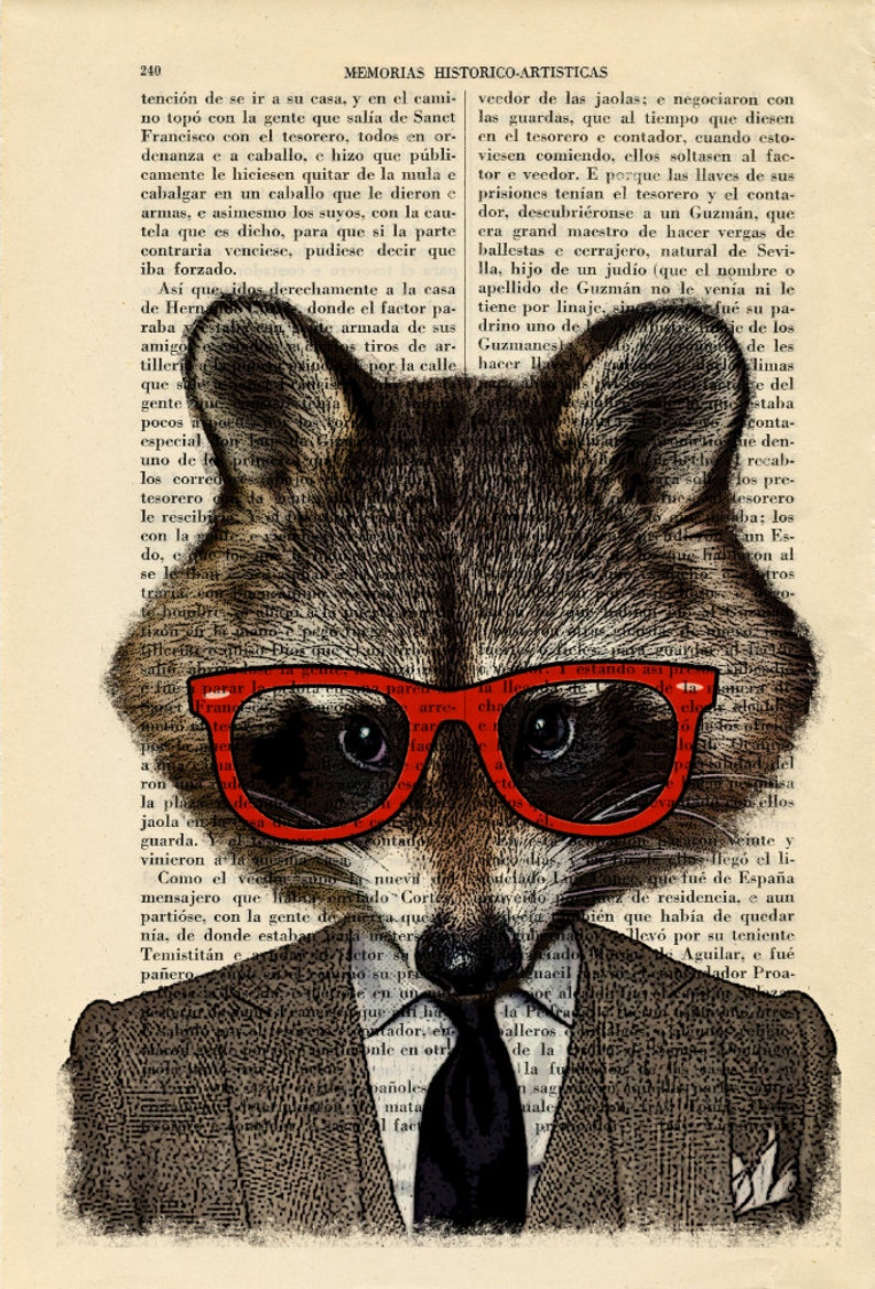 Vintage Raccoon Boss With Glasses Book Art Print Zoo Portrait - Etsy