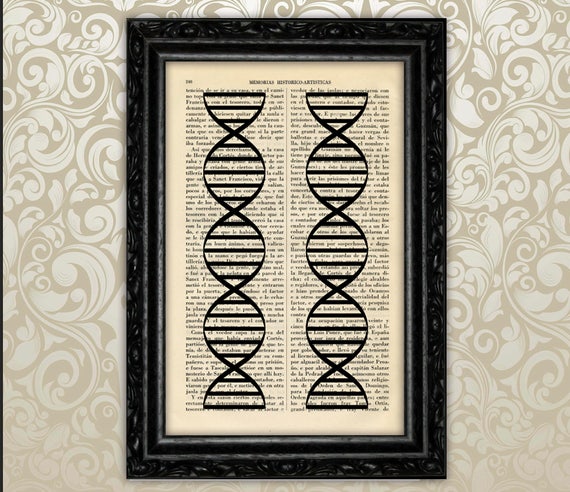 DNA Art Print Book Molecule Biology Molecular Art Particle Art | Etsy