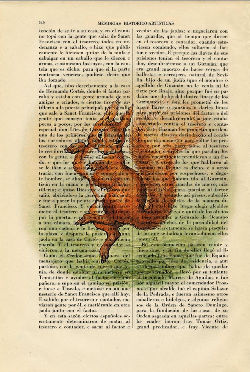 Peter Rabbit Squirrel Nutkin Book Art Print Beatrix Potter - Etsy UK