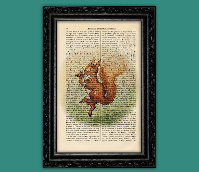 Peter Rabbit Squirrel Nutkin Book Art Print Beatrix Potter - Etsy UK
