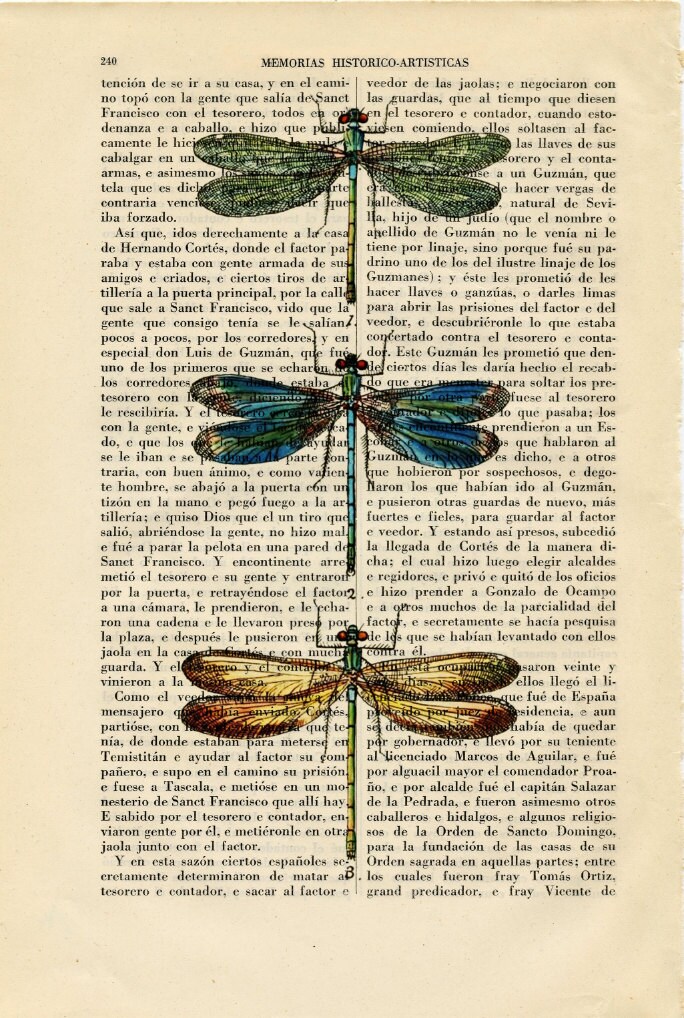 Dragonflies Vintage Colorful Art Print Insect Drangonfly Poster Dorm ...
