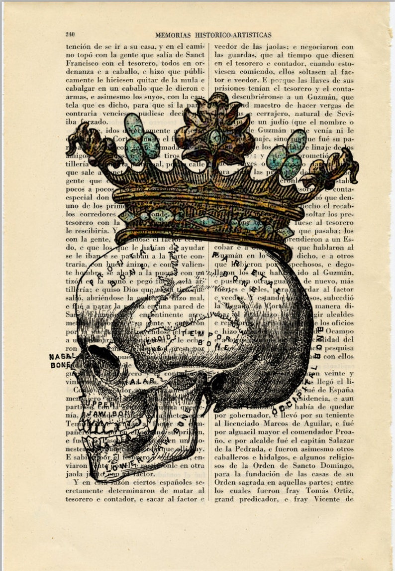 Vintage Anatomical Skull Print Medical Poster Dorm Room Print | Etsy