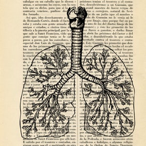 Respiratory System Lungs Print Vintage Anatomical Print Medical Poster ...