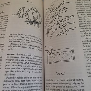 Jerry Baker Master Gardener Book Set, Flower Power and Herbal Pharmacy ...