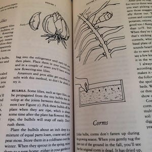 Jerry Baker Gardening Book Set, Flower Power and Herbal Pharmacy - Etsy