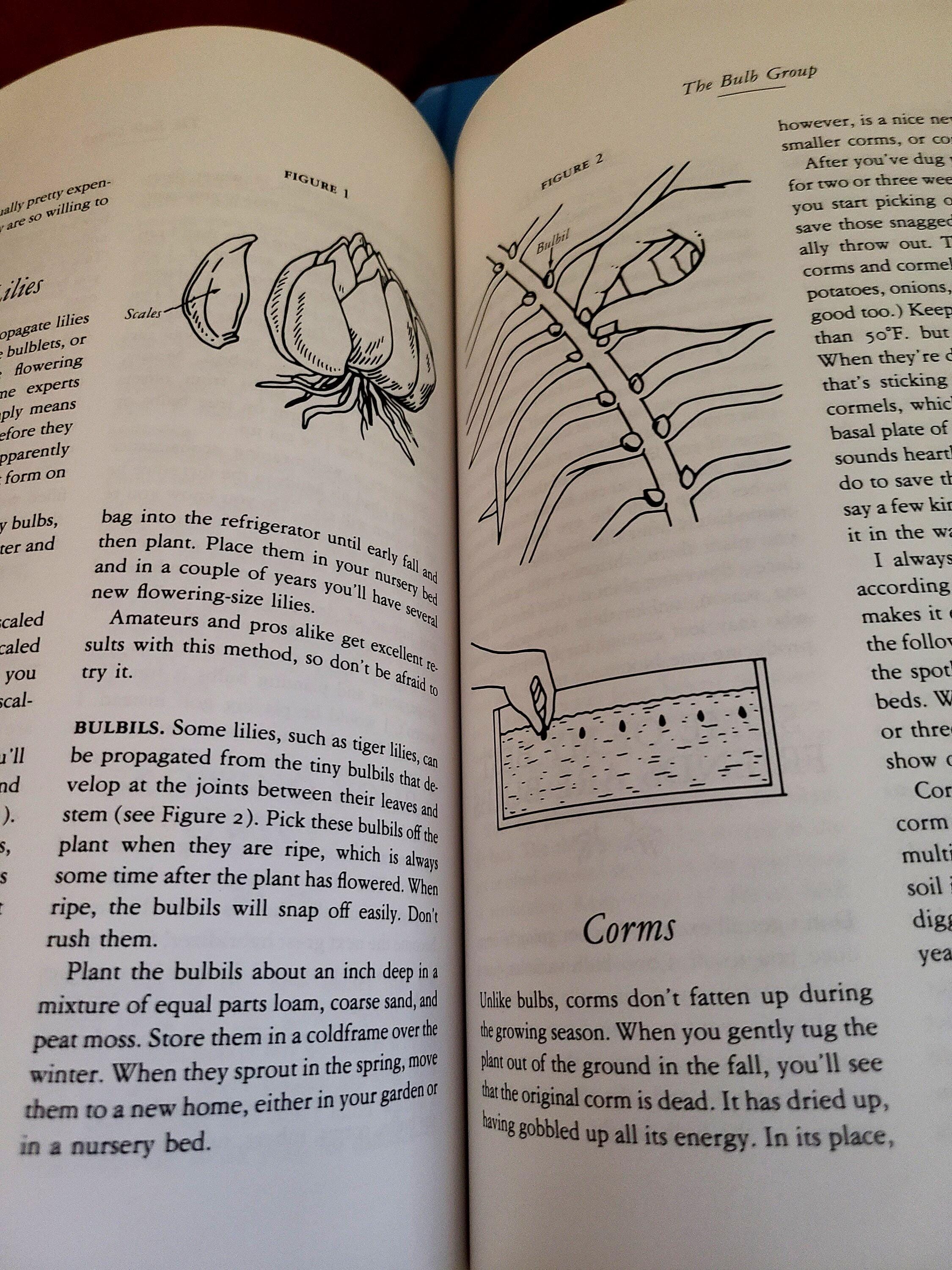 Jerry Baker Gardening Book Set, Flower Power and Herbal Pharmacy - Etsy