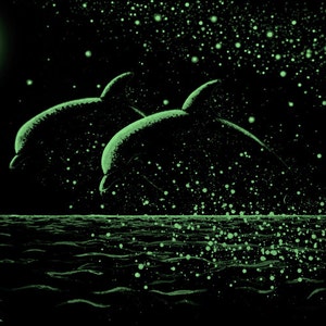 Two Dolphins UV Black Light Fluorescent & Glow in the Dark ...