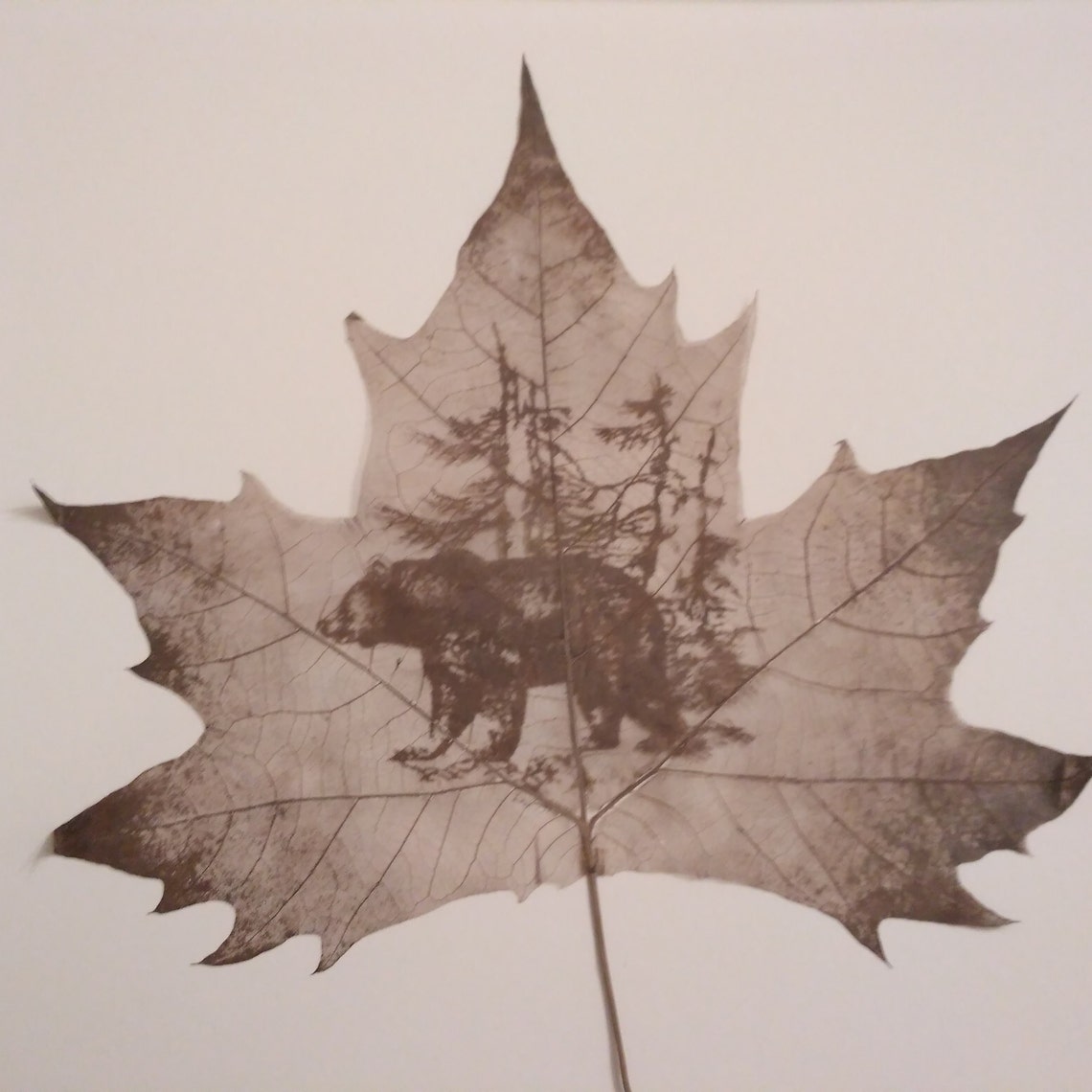 Leaf Carving - Etsy