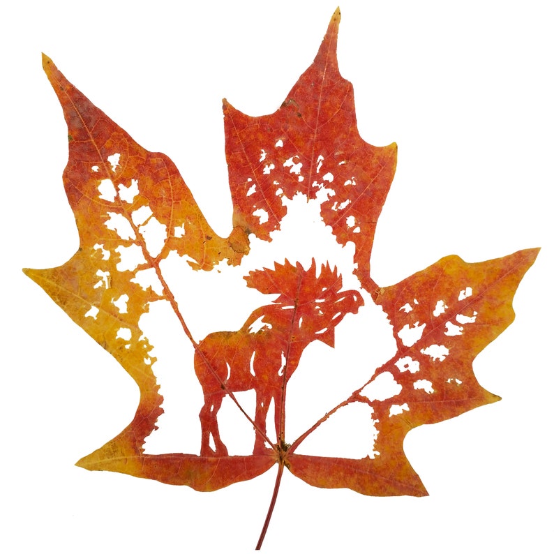 Maple Leaf Art Coaster - Etsy