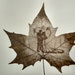 Leaf Carving - Etsy