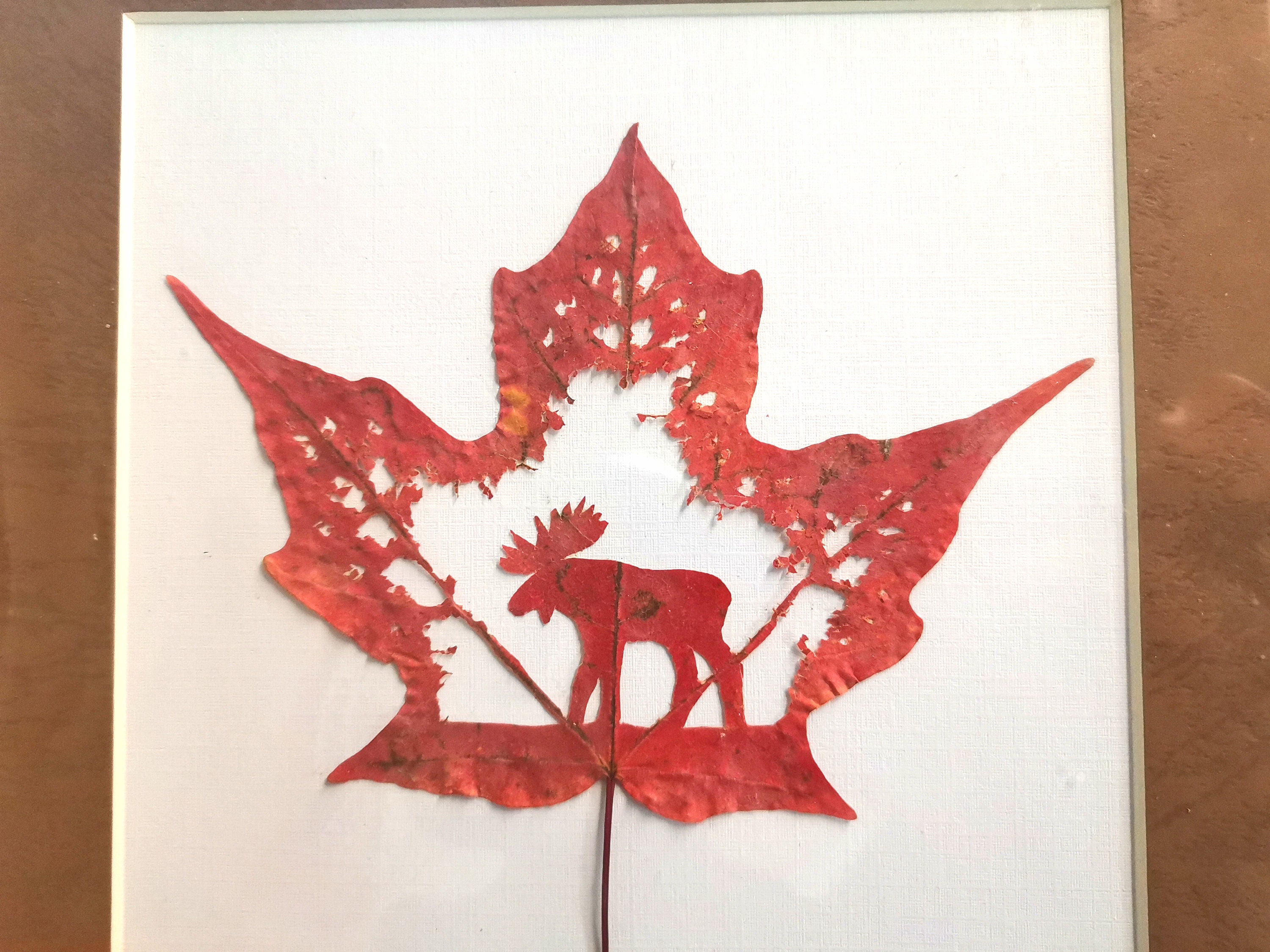Maple Leaf Cutting - Etsy Canada