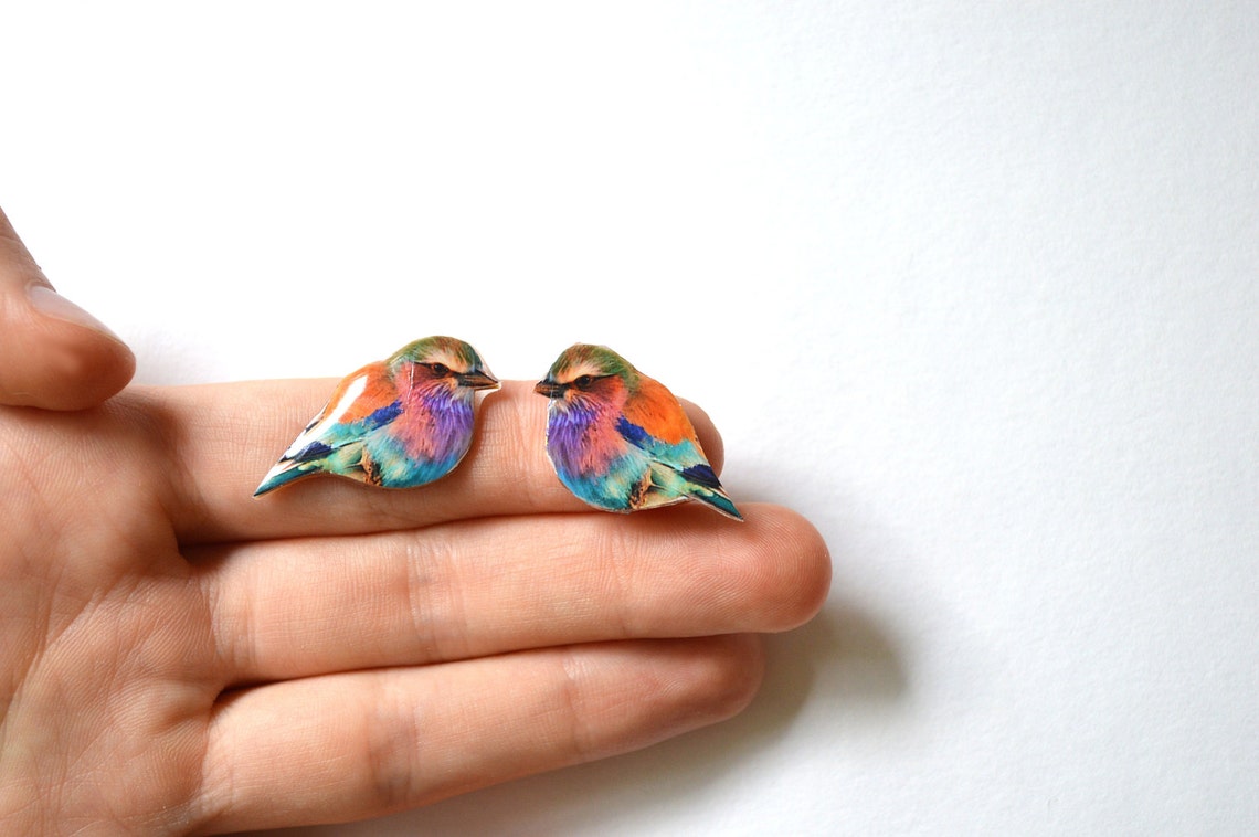 Birds , Animal Brooch , Wood Bird Brooch , Colorful Bird , Bird Pin ...
