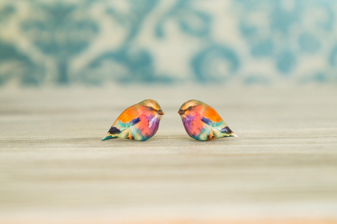 Colorful Bird Earrings , Nature Studs , Nature Jewelry , Colorful Bird ...