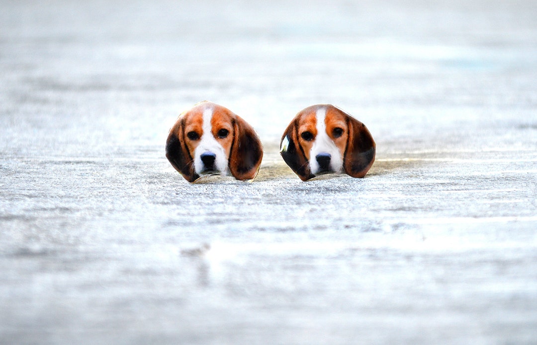 Beagle Earring , Beagle Stud , Dog Breed Earring , - Etsy