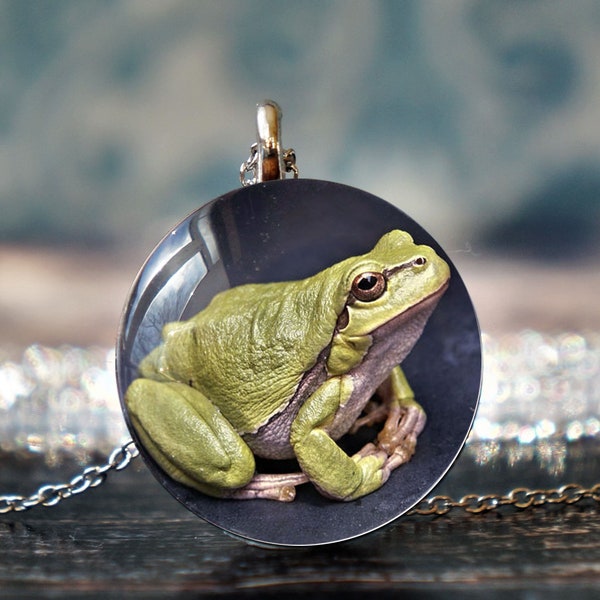 Frog Jewelry - Etsy