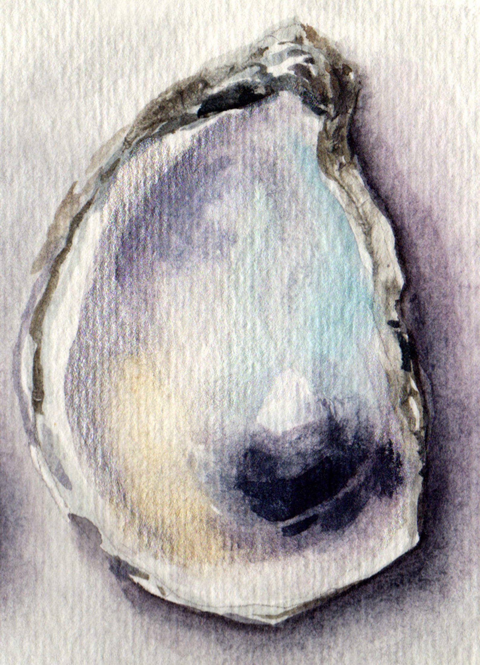 Oysters Watercolor Oyster Shell Art Oyster Shell Download - Etsy