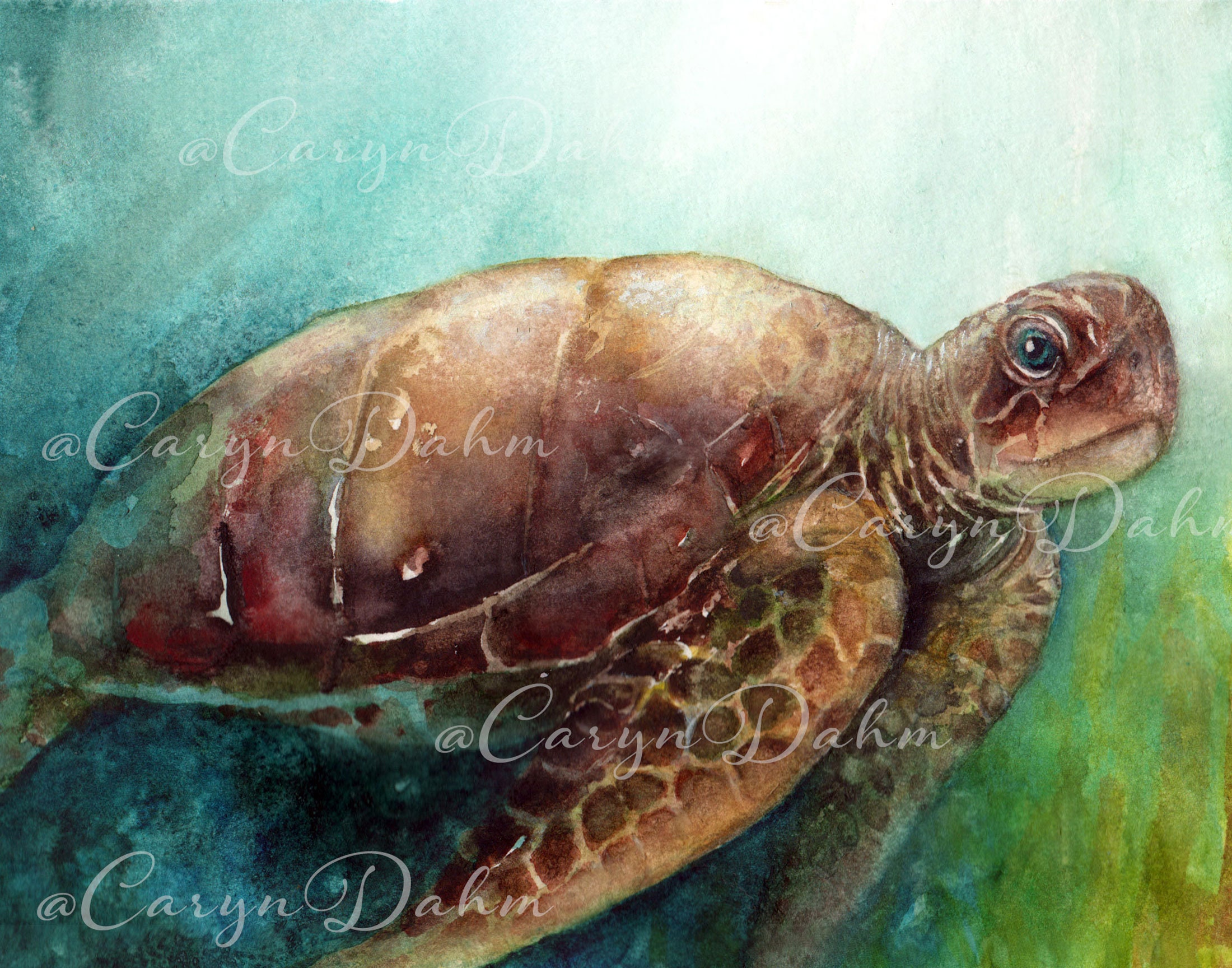 Florida Loggerhead Sea Turtle Print, Sea Turtle Watercolor Painting ...