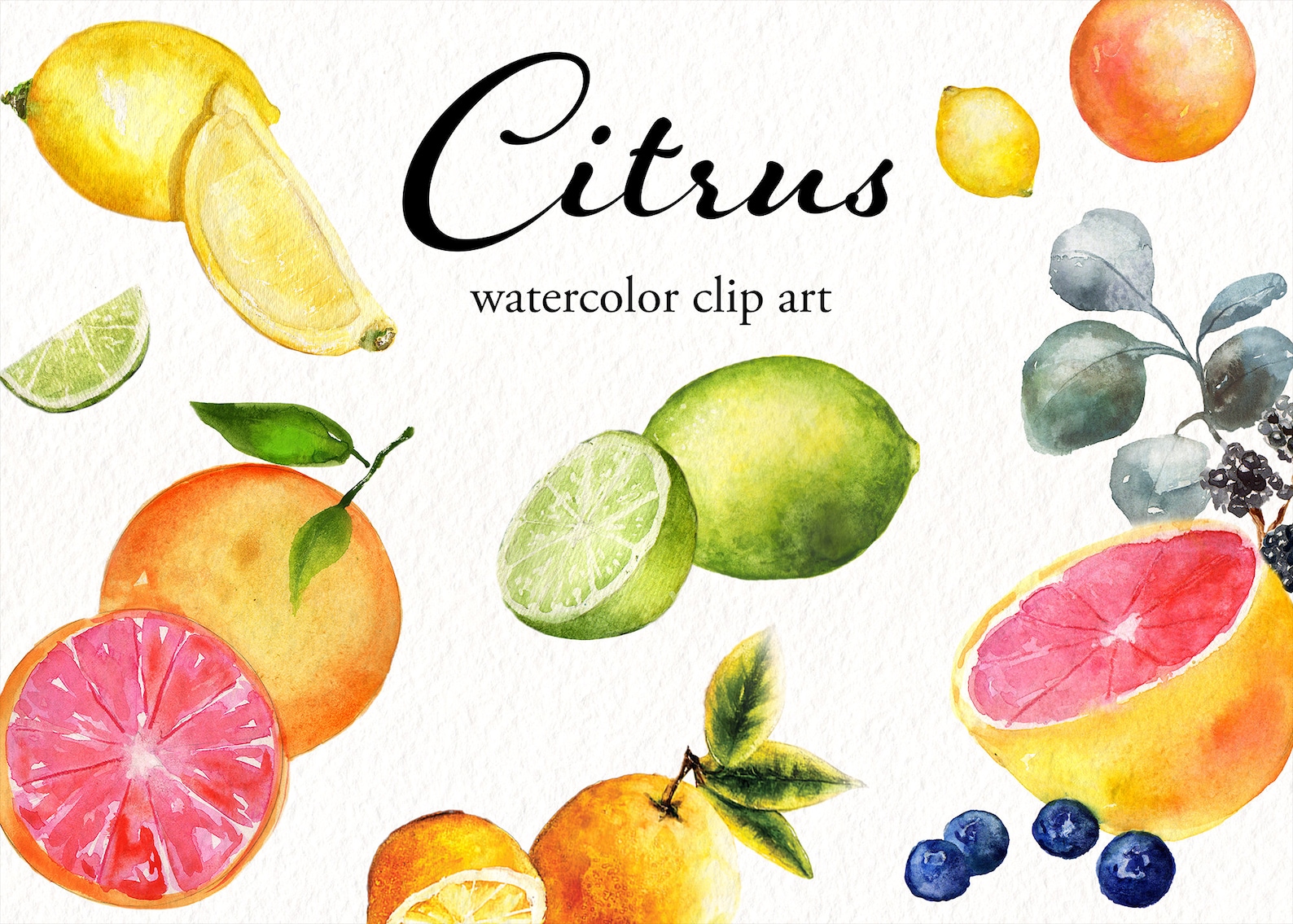 Citrus Watercolor Clipart - Fruit Clipart - Citrus Fruit Instant ...