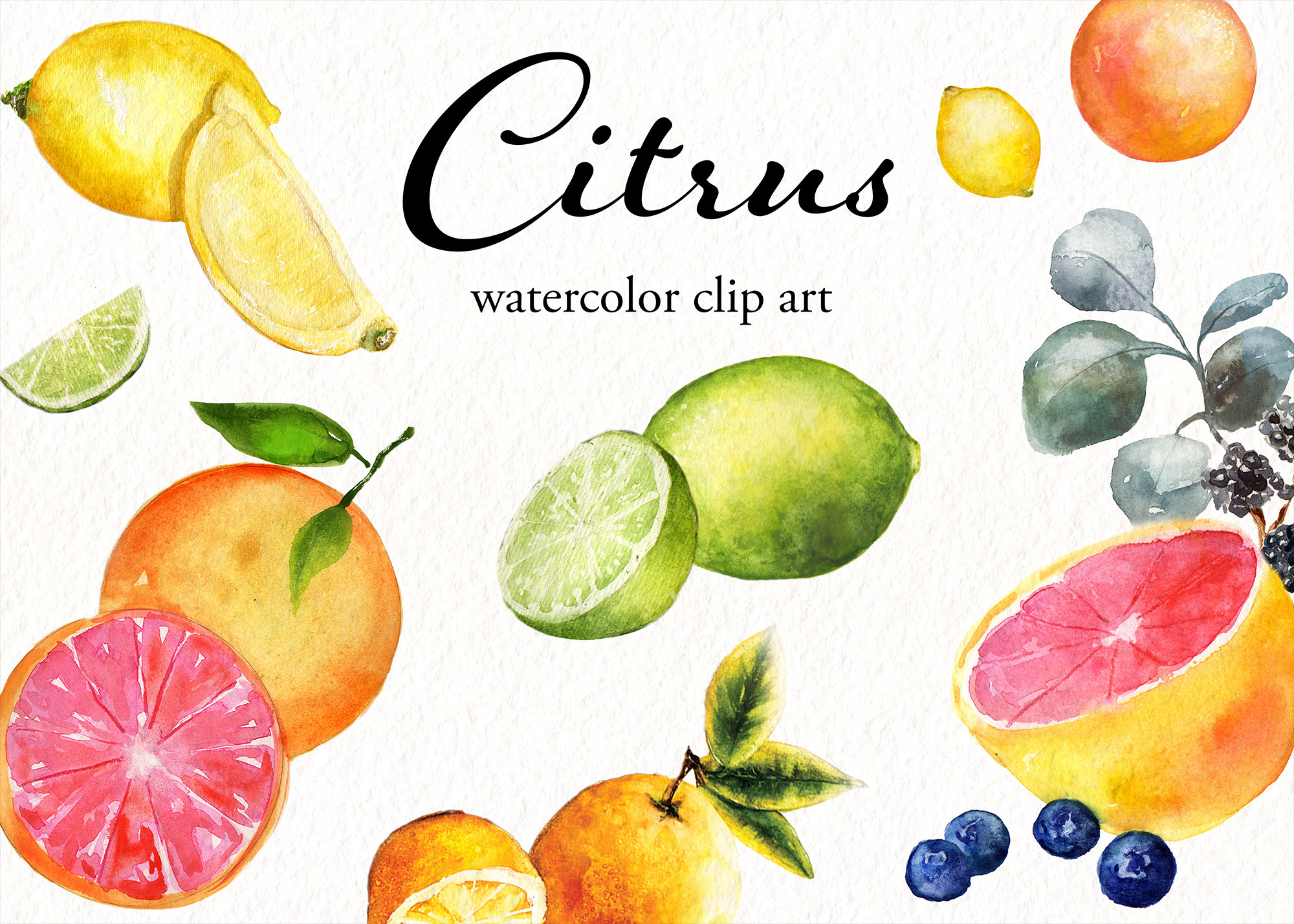 Citrus Watercolor Clipart - Fruit Clipart - Citrus Fruit Instant ...