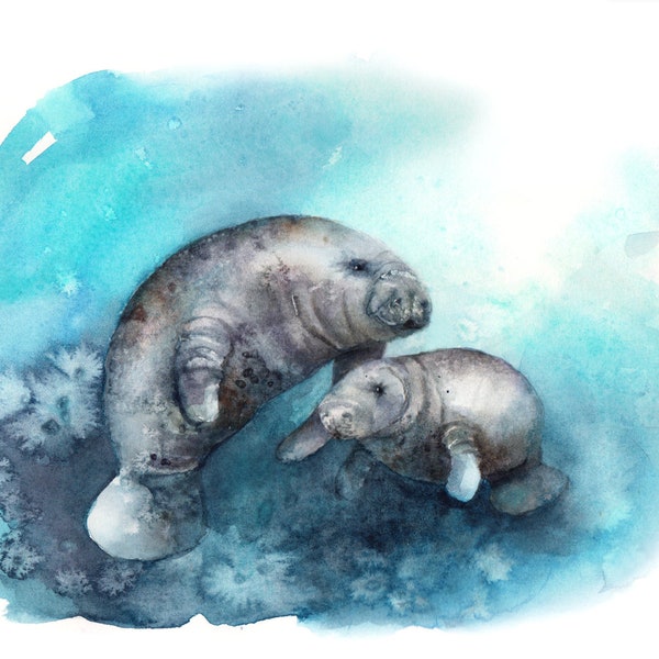 Manatee Watercolor - Etsy