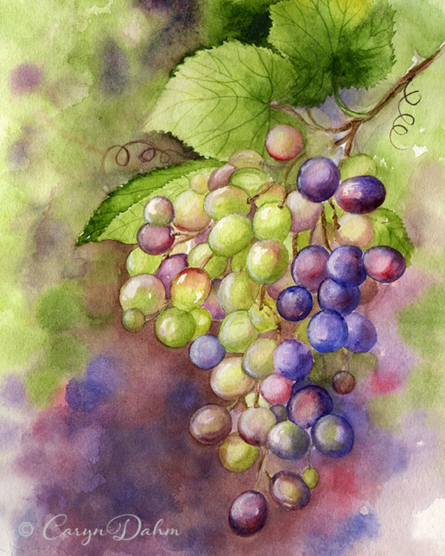 Fresh Vineyard Grapes, Watercolor Print of Green and Purple Grapes on a ...