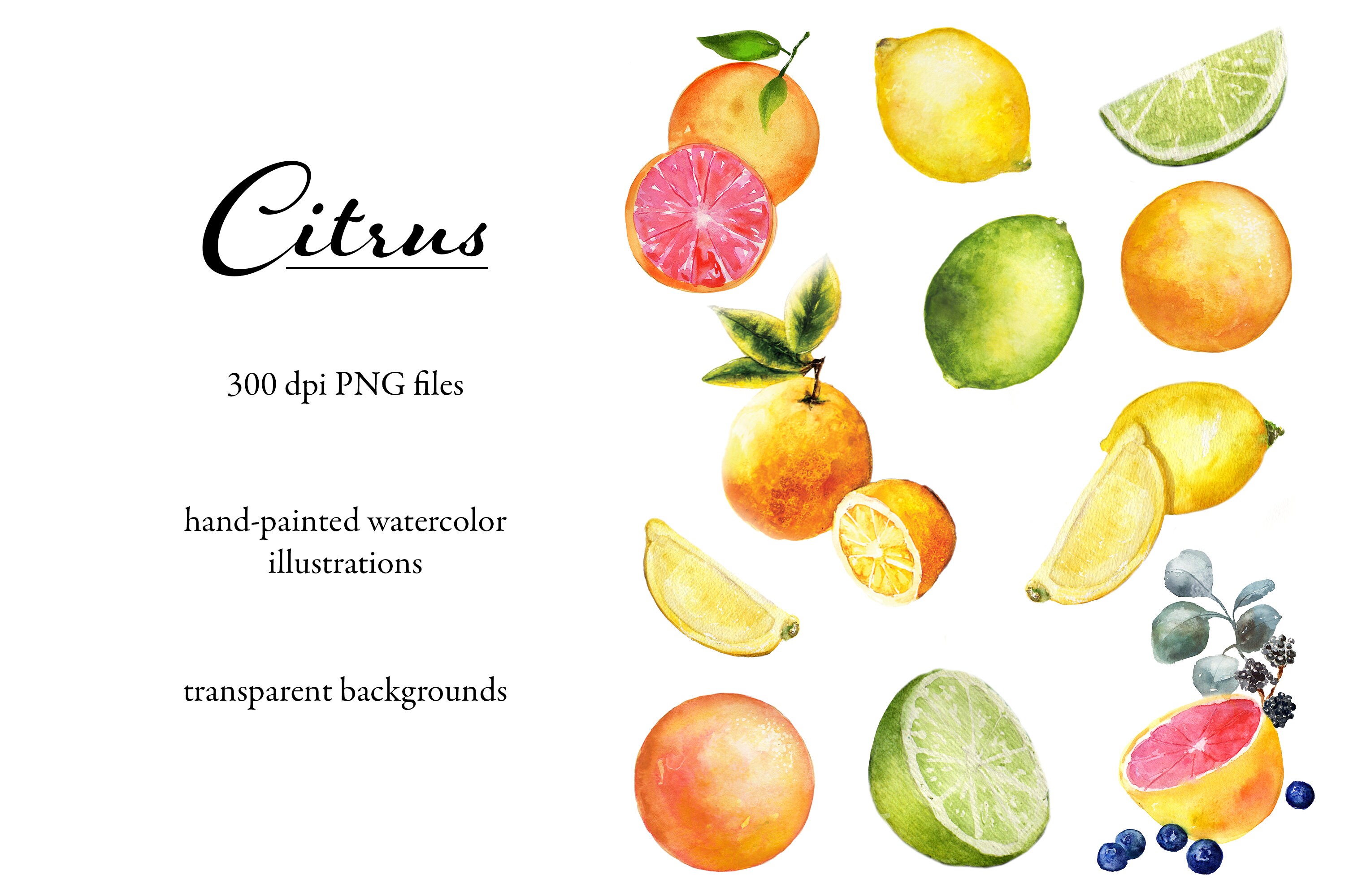 Citrus Watercolor Clipart Fruit Clipart Citrus Fruit Instant Digital ...