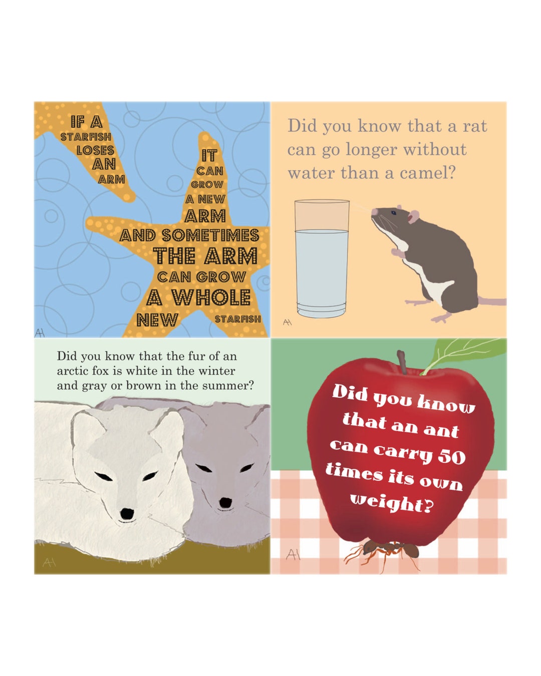 Lunch Note Fun Facts Set #5 - Printable Pdf File - Etsy