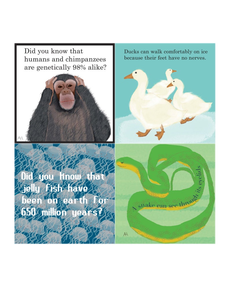 Lunch Note Fun Facts Set #6 - Printable Pdf File - Etsy