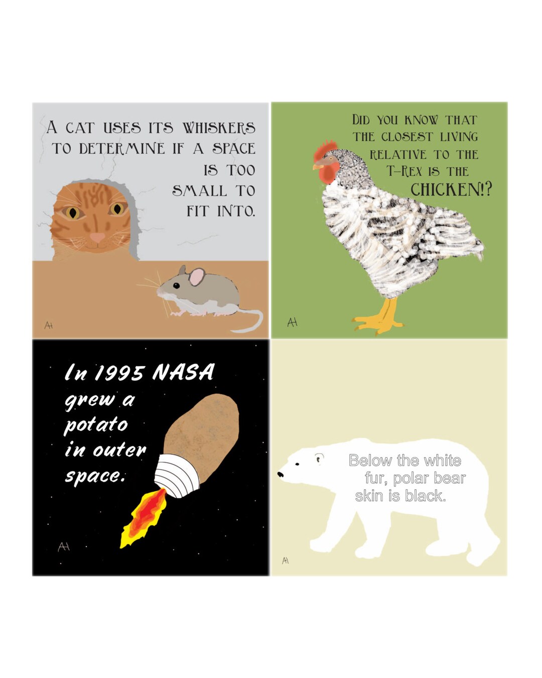 Lunch Note Fun Facts Set #2 - Printable Pdf File - Etsy