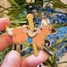 Conservation Carousel Series 1 Maned Wolf Hard Enamel Pin Charity Pin ...