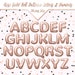 Rose Gold Foil Balloon Letters & Numbers - Alphabet Clipart - Foil ...
