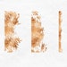 Bronze Clipart, Borders Overlays, Brush Strokes, Digital Borders ...