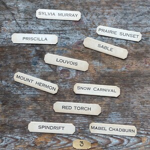 Antique Name Colour Plates Collectable Vintage Name Cards 20th Century ...