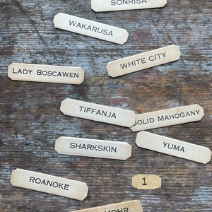 Antique Name Colour Plates Collectable Vintage Name Cards 20th Century ...