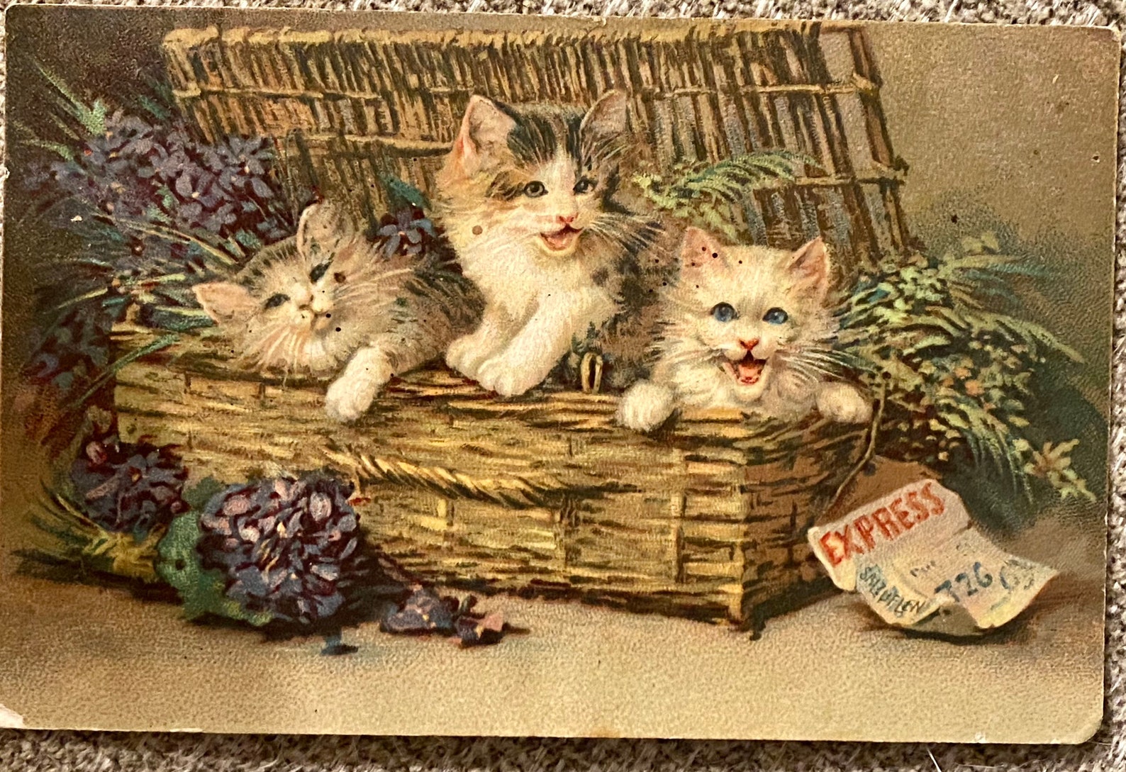 Antique Victorian Postcard 1905. Artist Daniel Merlin. Kitten Cat Cats ...