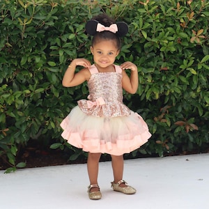 Luxury Rose Gold Minnie Mouse Dress - Etsy