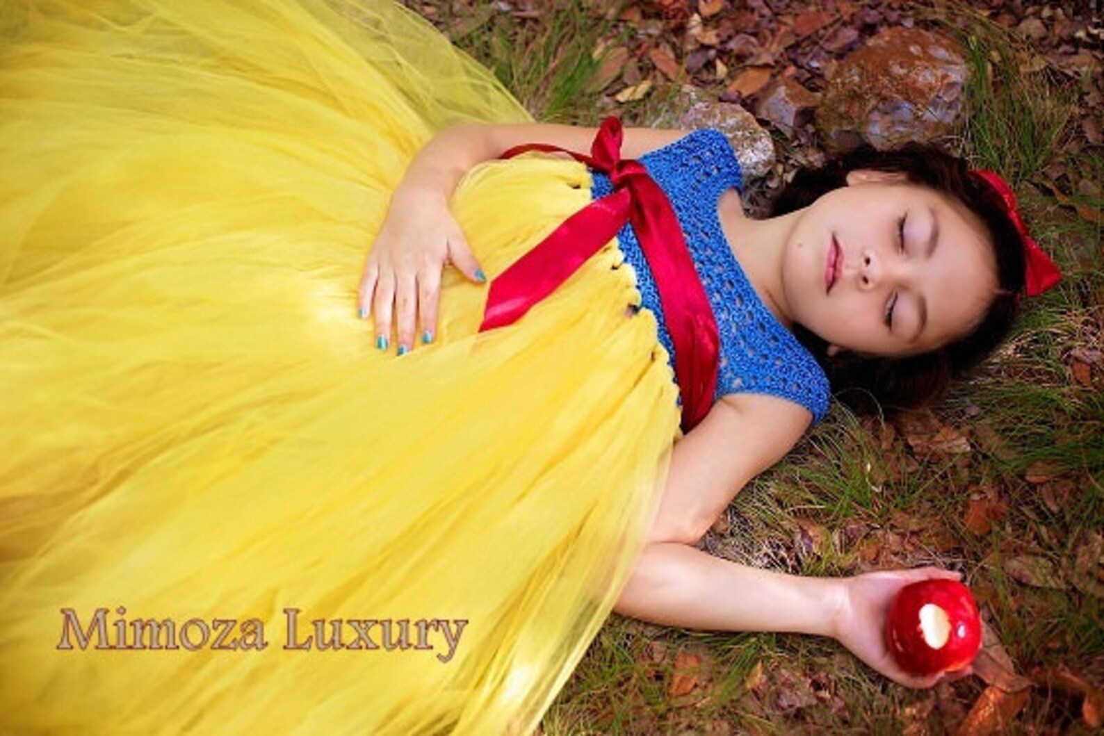 Snow White Luxury Princess Dress Flower Girl Dress Tutu | Etsy