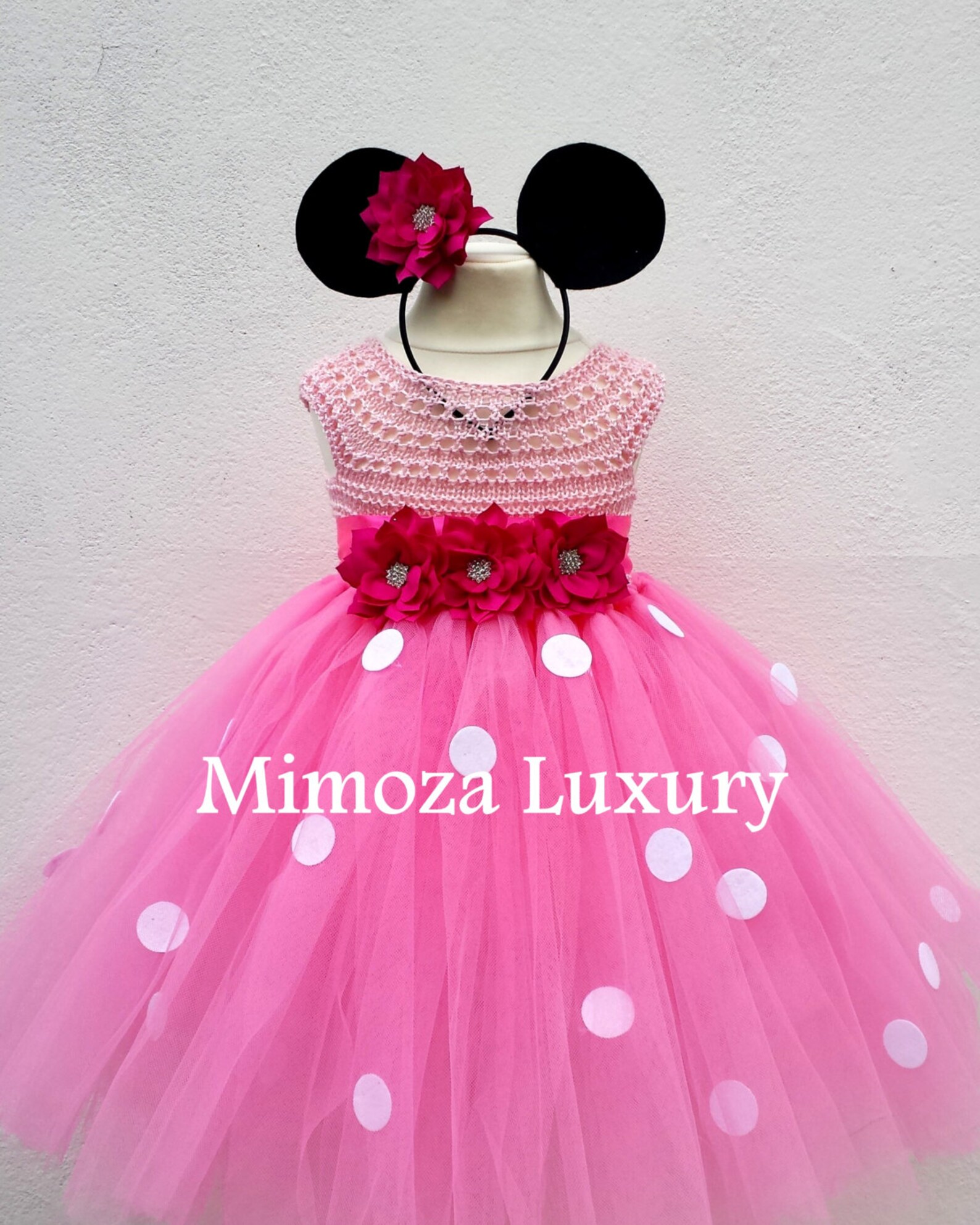 Minnie Mouse Birthday Dress, Minnie Mouse Princess Outfit, 1st Birthday ...