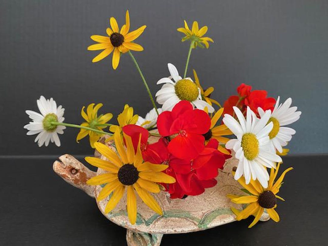 Flower Frog, Turtle Flower Frog, Turtle, Flower Vase, Clay Flower Frog ...
