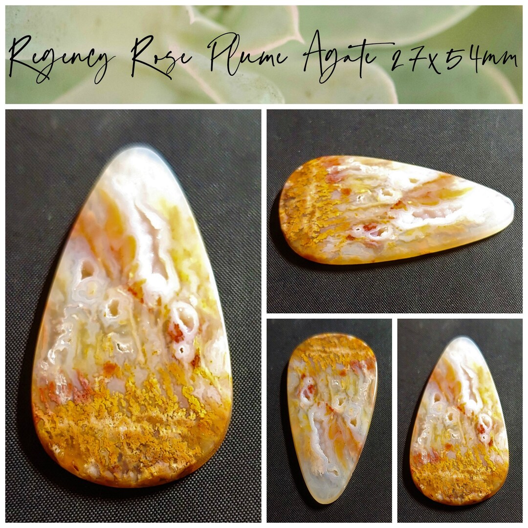 Regency Rose Plume Agate- 27x54mm - Etsy