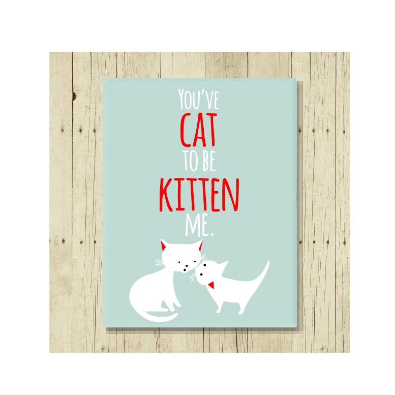 Cat Themed Gifts Funny Fridge Magnets Crazy Cat Lady Gift | Etsy